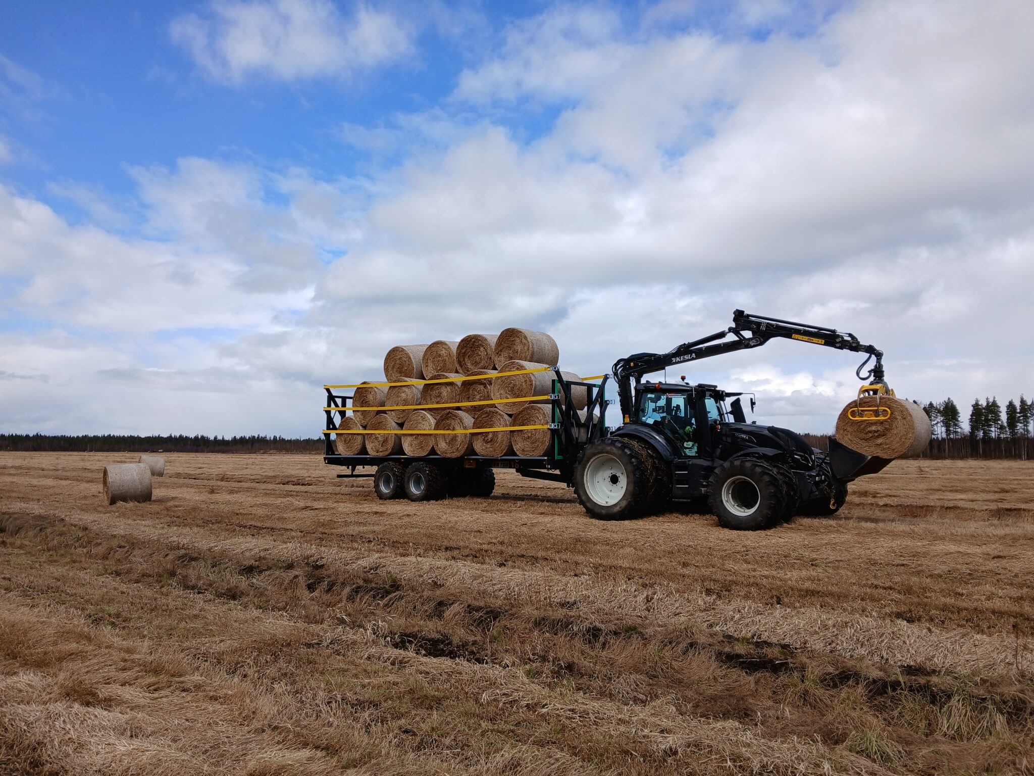 Neova started harvesting reed canary grass as a substrate material - Neova Group